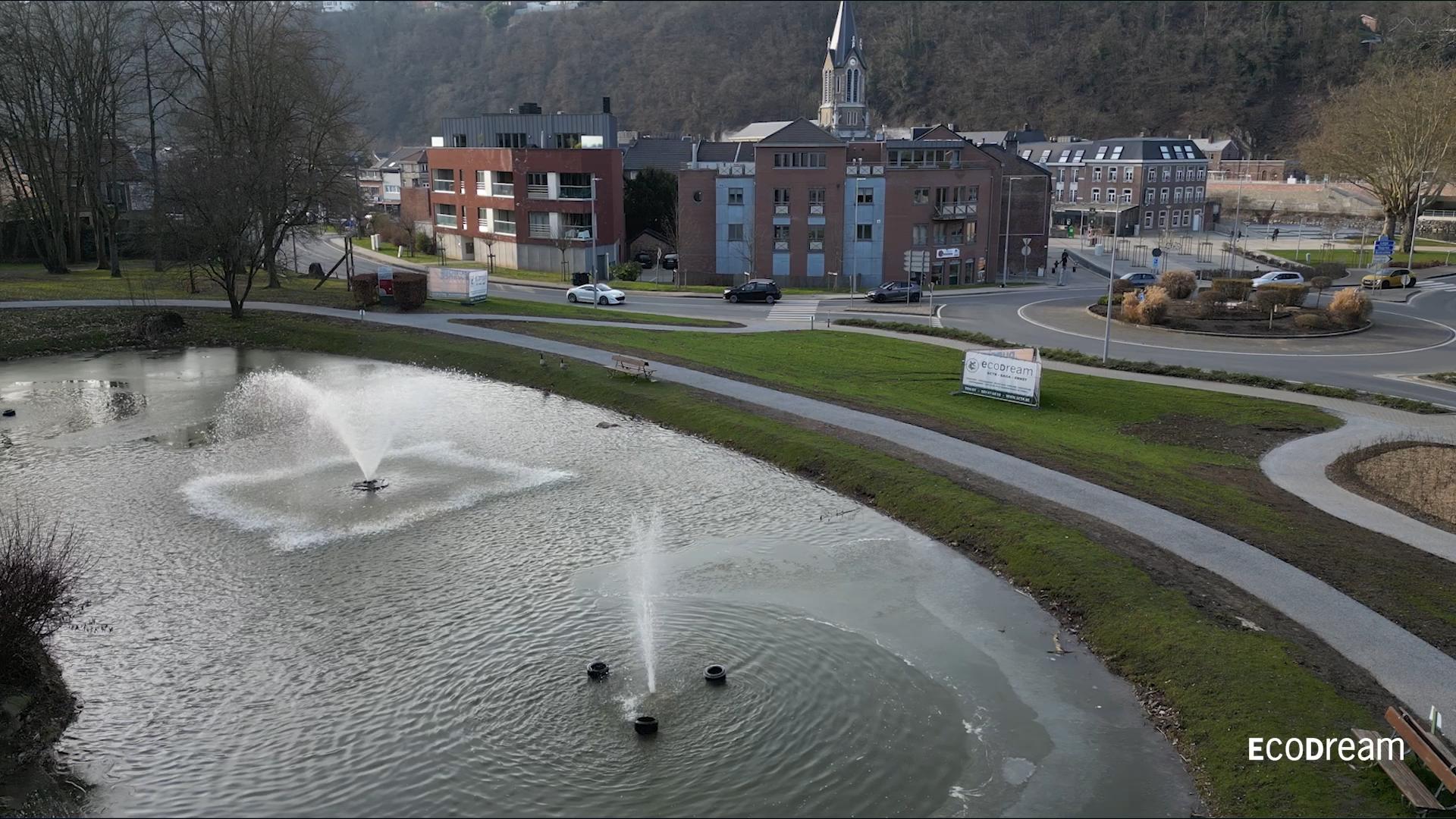 Ecodream – Ecodream